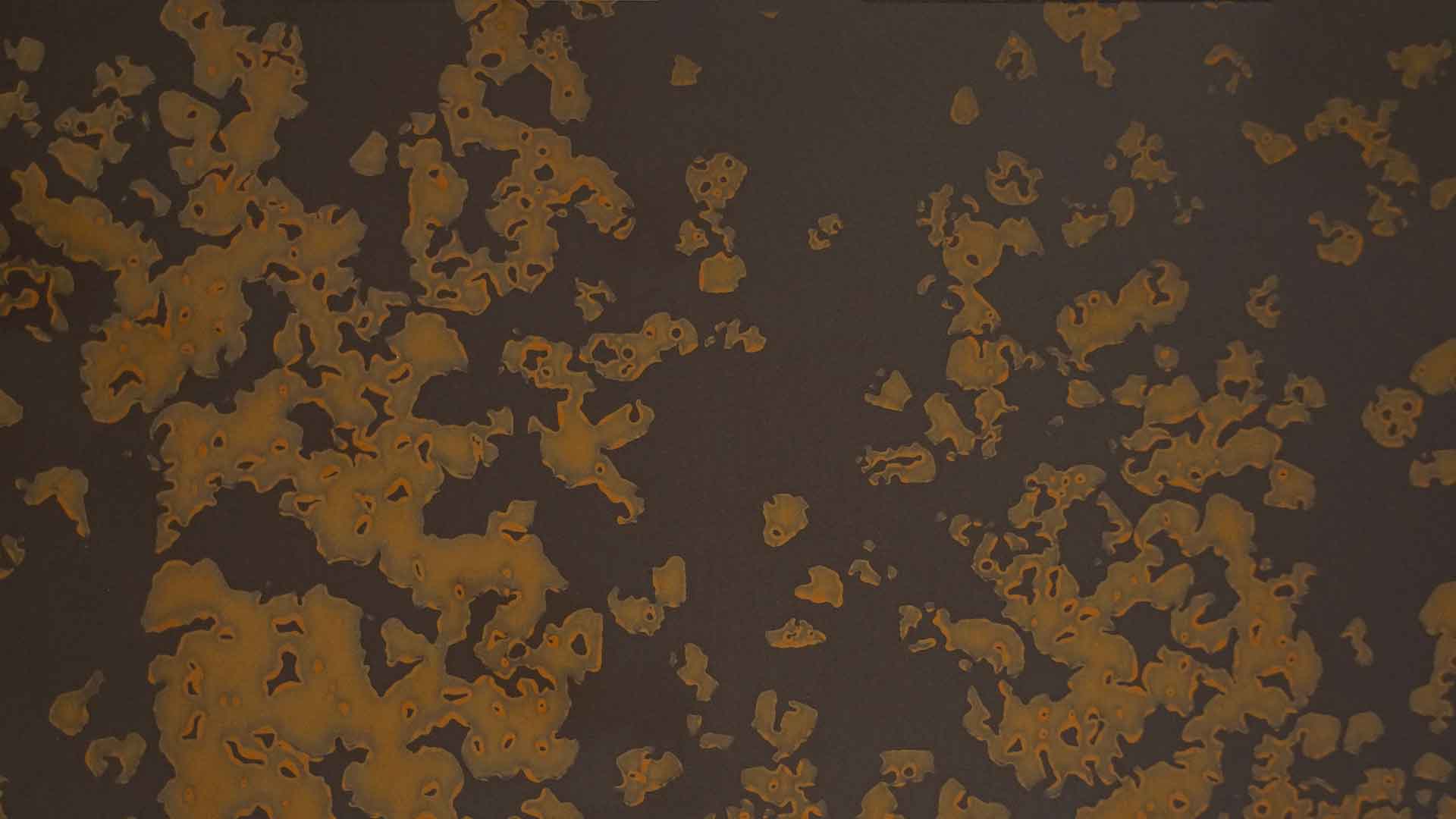 Corrugated Iron Rust® | Metal Roofing | Siding Panels | Fencing